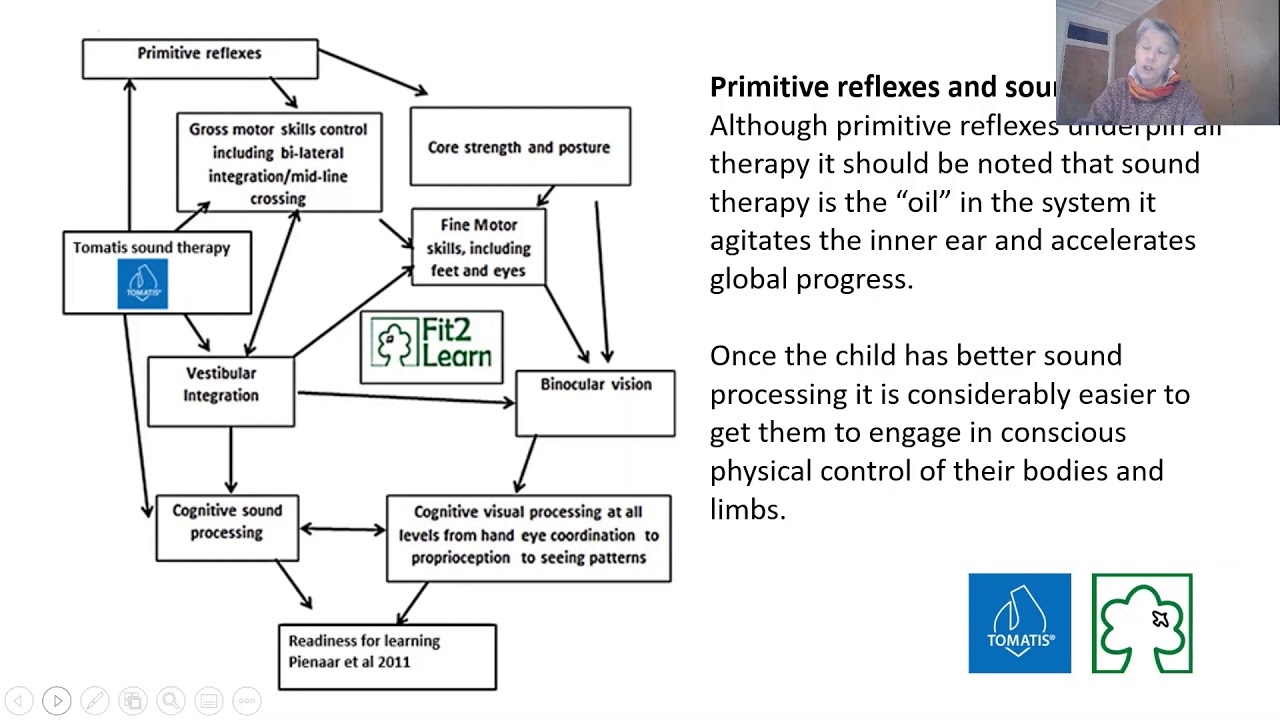 Day 3 Intro to Primitive Reflexes - YouTube