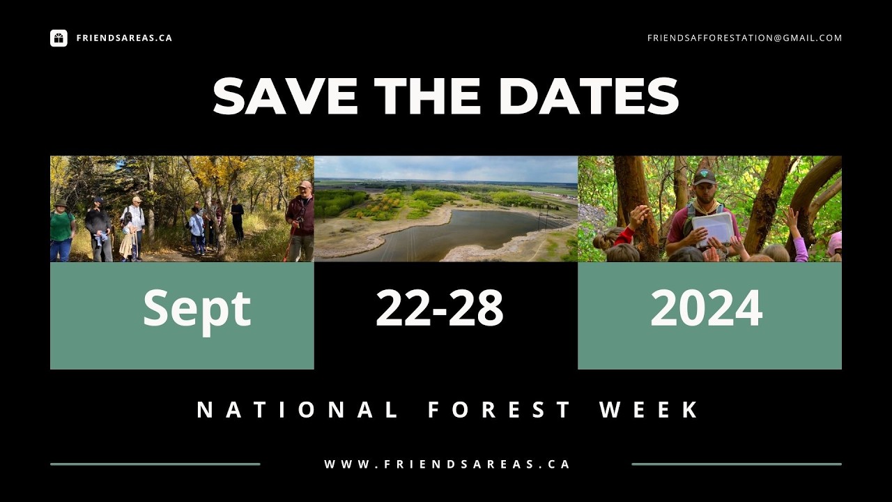 Two Eyed Seeing Welcoming all knowledge to sustain our forests National ...