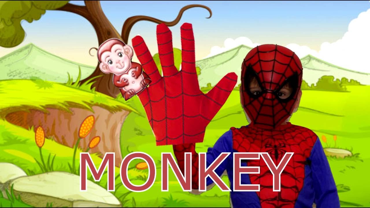 FINGER FAMILY SPIDERMAN ZOO ANIMALS - YouTube