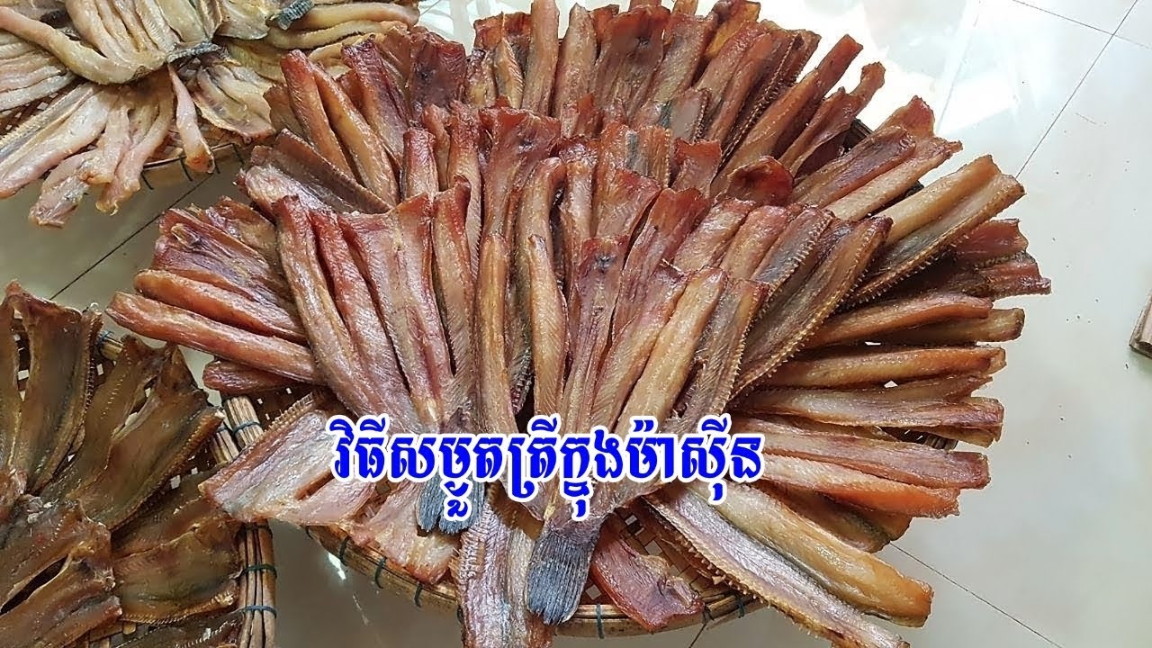 How to dry a fish in machine | Homemade dried fish | camdryfish EP03 ...