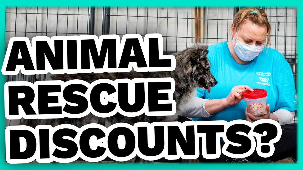 Should Vet Clinics Discount Services For Rescue Animals? | Questions ...