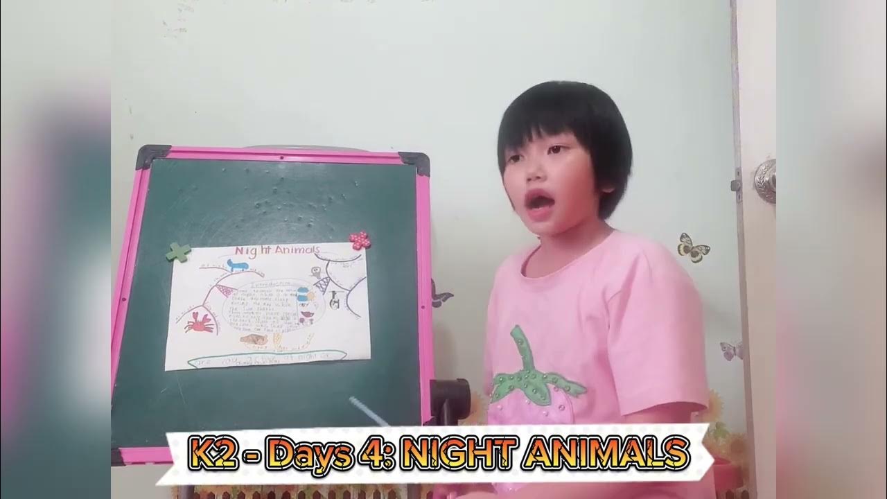 K2 - Days 4: NIGHT ANIMALS - YouTube