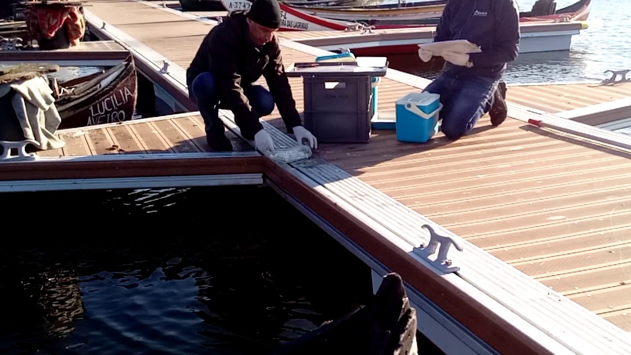IPMA DGT Retrival during wet sampling campaigns - YouTube