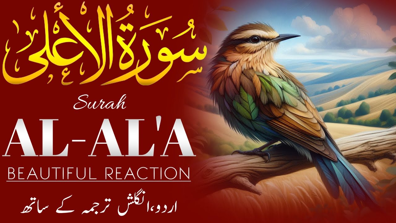 Surah Al Al a Full سورةالاعلی Surah Al A la with English