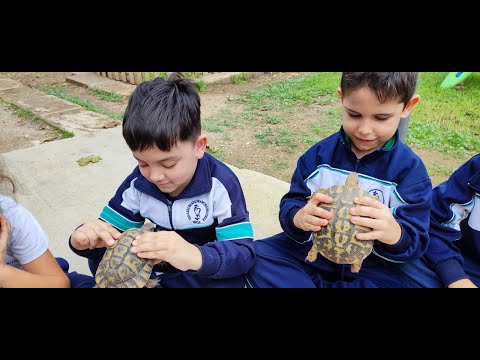 Granja escola Es Molí d'en Joan Bea