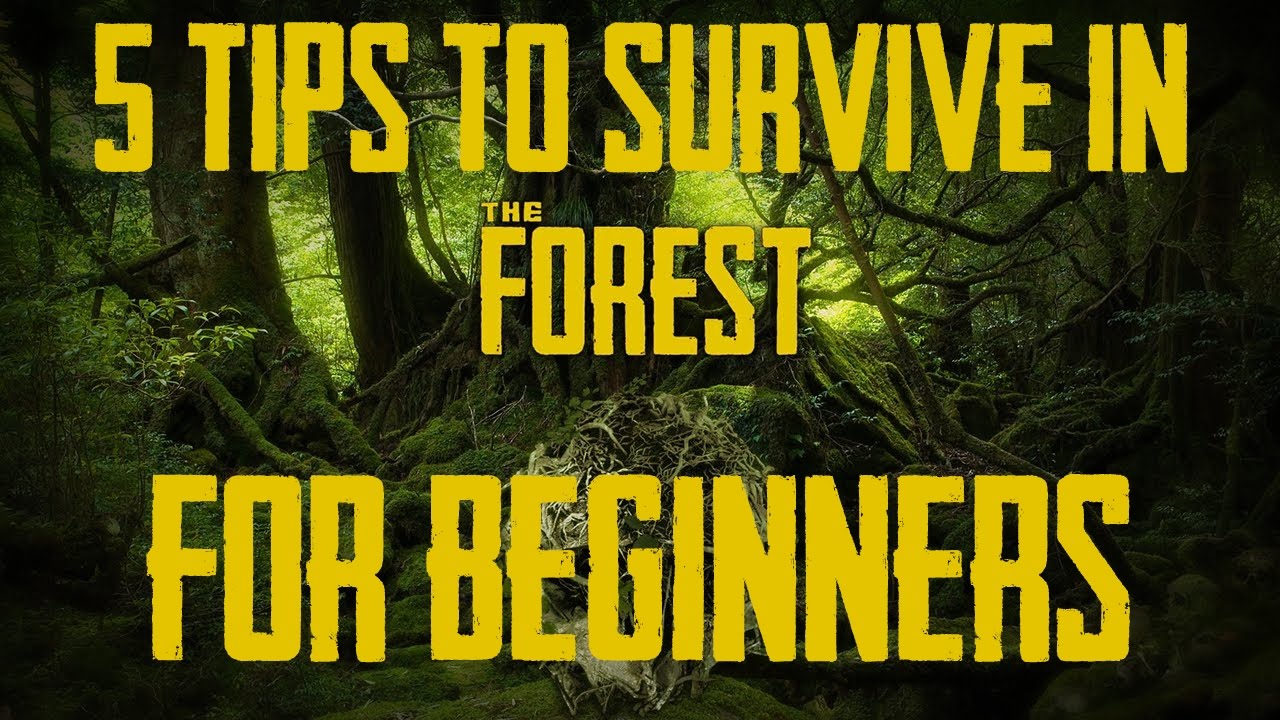 The Forest - Top 5 Tips to Survive for Beginners - YouTube