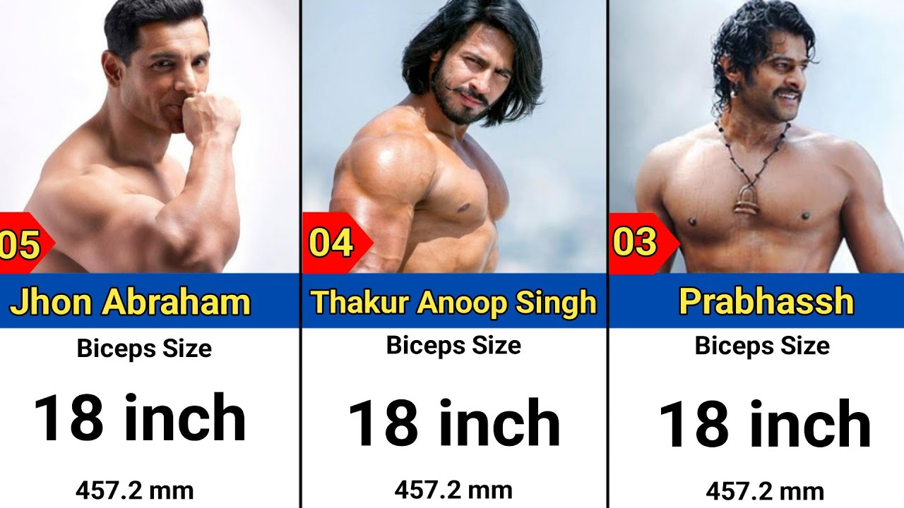 Biceps Size Of Famous Indian Actors - YouTube
