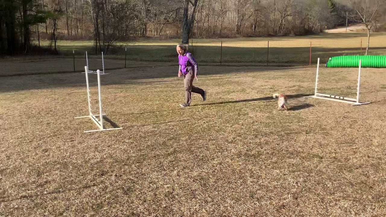 Emmy 1/17/21, Elite Jumpers 2, Shake - YouTube