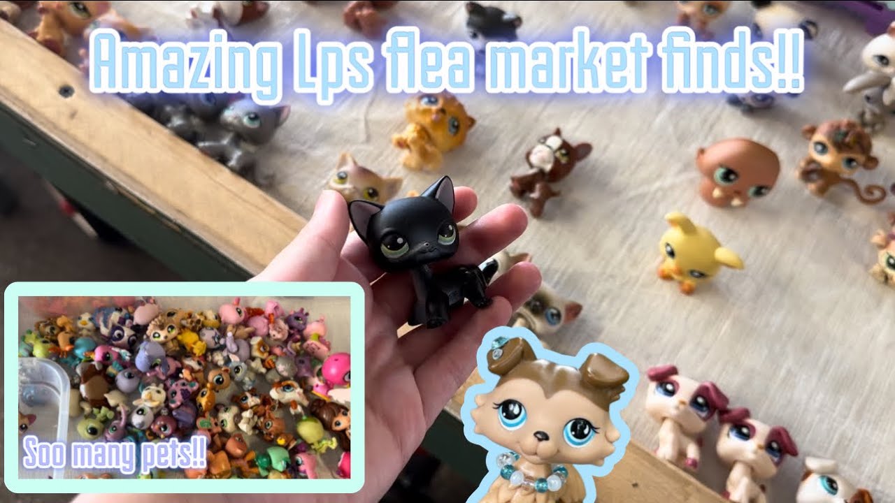 *HUGE* Lps flea market hunt l + Lps haul!! | main 5’s, shorthairs ...
