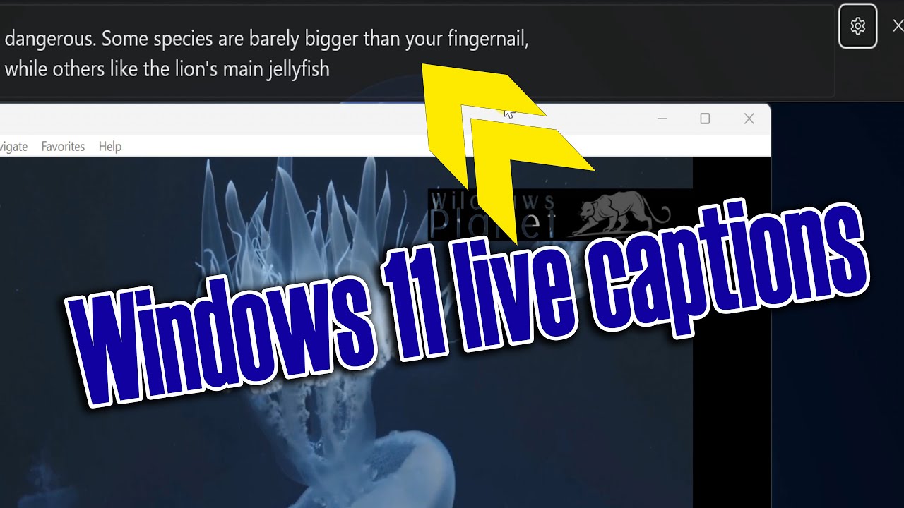 How to Use Live Captions in Windows 11 - YouTube