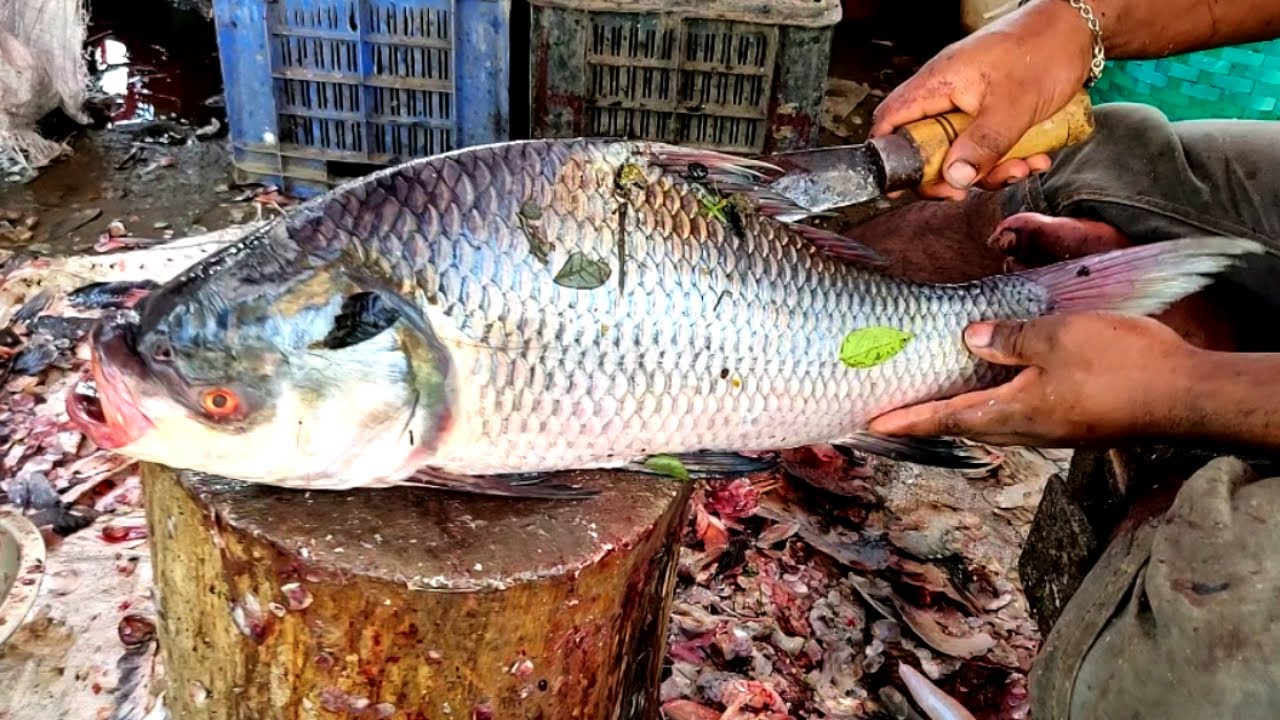 Fillets Big Katla Fish Slicing 🐟 Amazing Katla Fish Cutting in The Fish ...
