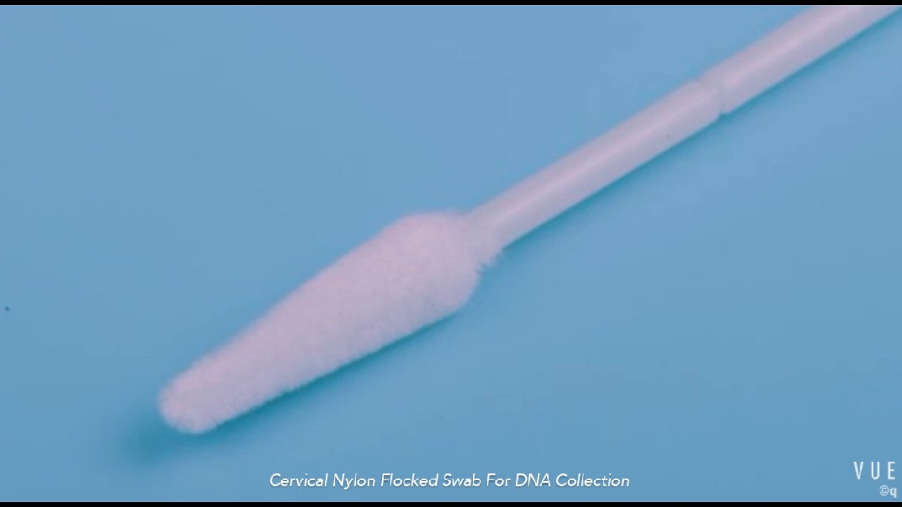 Gynecological Cervix Specimen Collection Nylon Flocked Swab Stick - YouTube