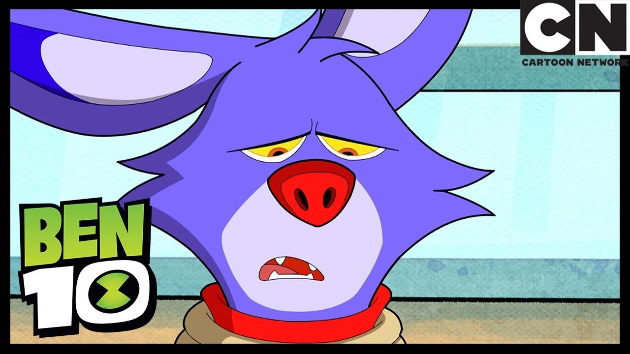 Sezon na Xingo | Ben 10 Po Polsku | Cartoon Network - YouTube