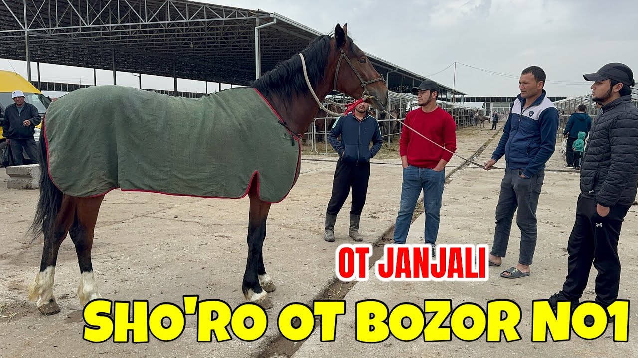 SHO'RO OT BOZOR. QIMMAT BIYA TOY OTLAR NARXLARI ZO'R BO'LDI. Bozor zo'r ...