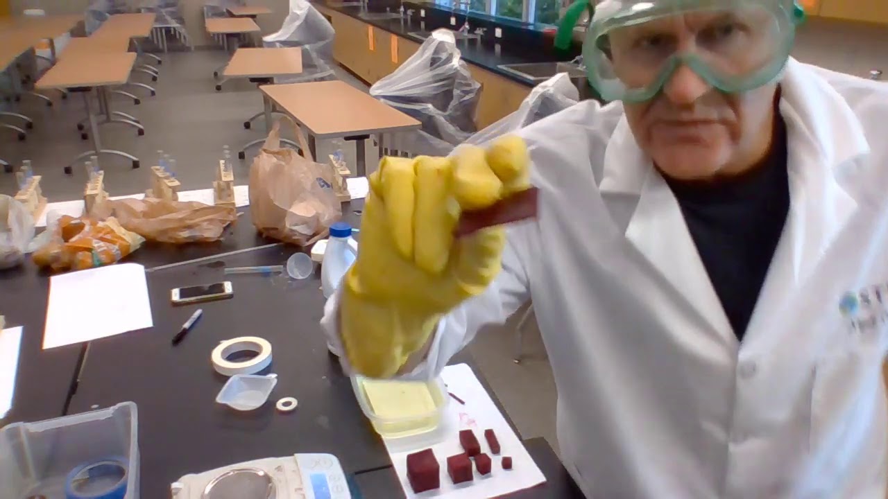 Diffusion cells into bleach - YouTube