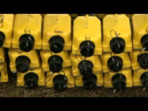 OYO Geospace - YouTube