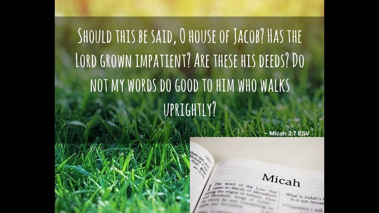 미가 2장 [새번역] Micah chapter 2 - YouTube