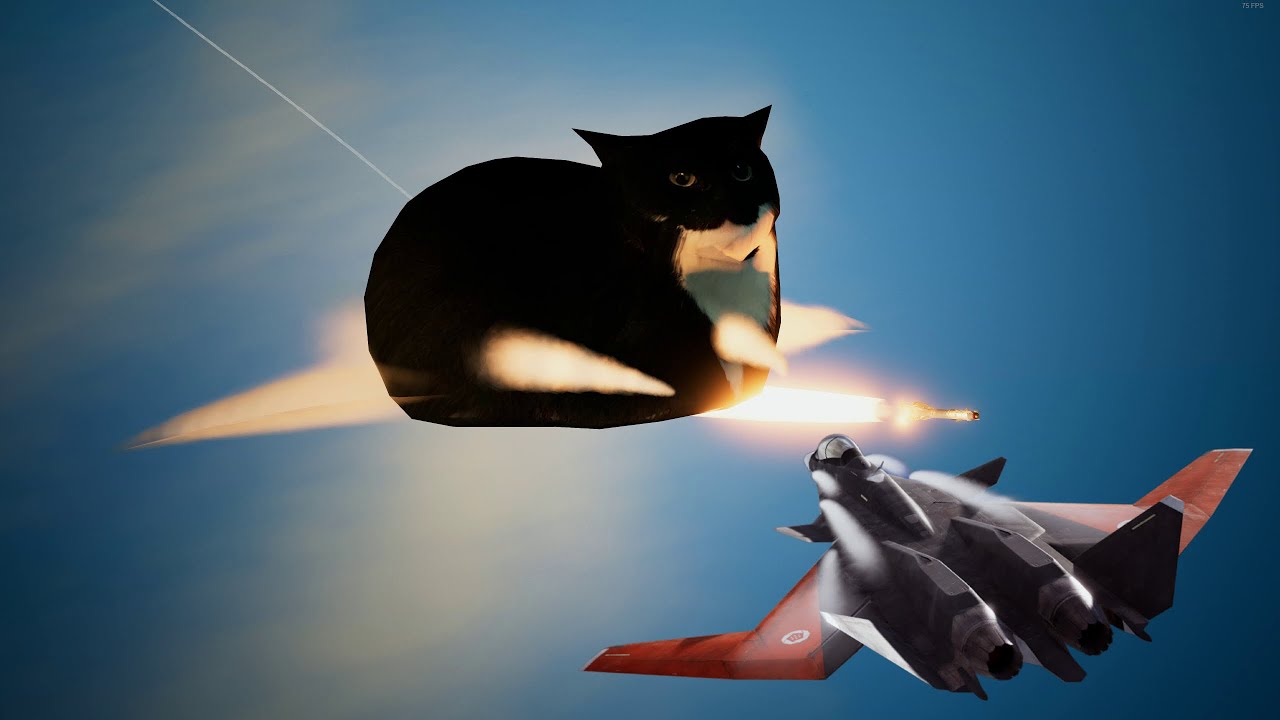 Ace Combat 7: Skies Unknown - Maxwell the Cat vs Mister X - YouTube