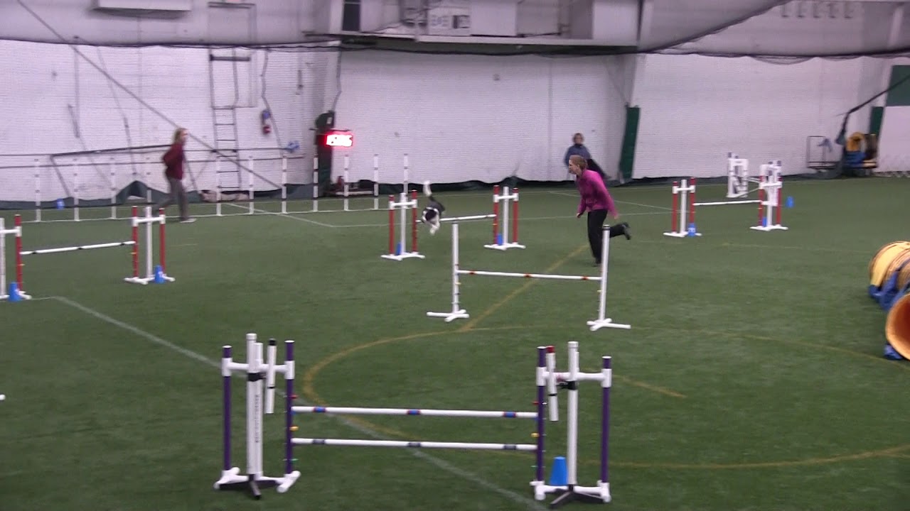 SIDTC Jan2019 Premier JWW Win Scout - YouTube