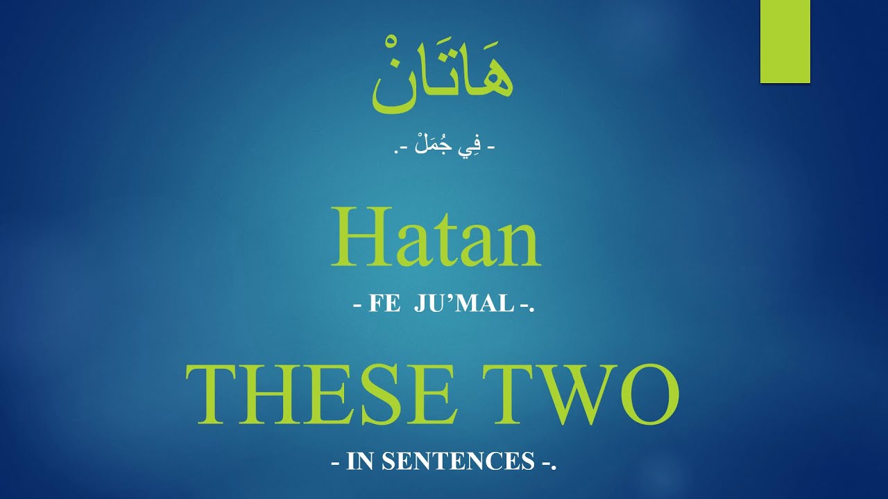 Arabic Grammar, "These Two", Feminine Dual In Sentences. - YouTube