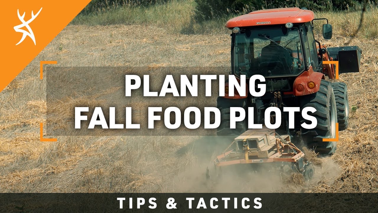 Planting Fall Food Plots for Big Bucks - YouTube