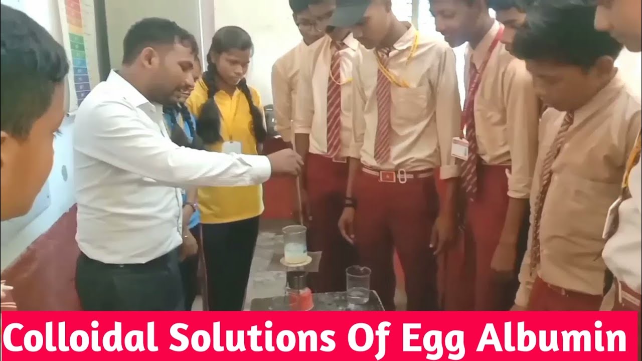 How do We Prepare a Colloidal Solution of Egg Albumin in water - YouTube