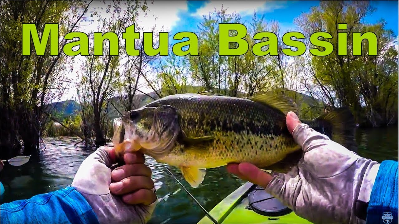 Mantua Bass Fishing | Bluegill Bed Fishing - YouTube