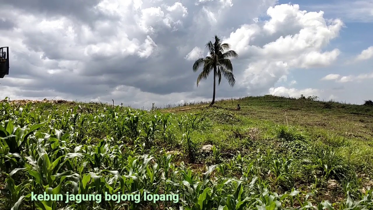 Jalan ka jampang bojong lopang - YouTube