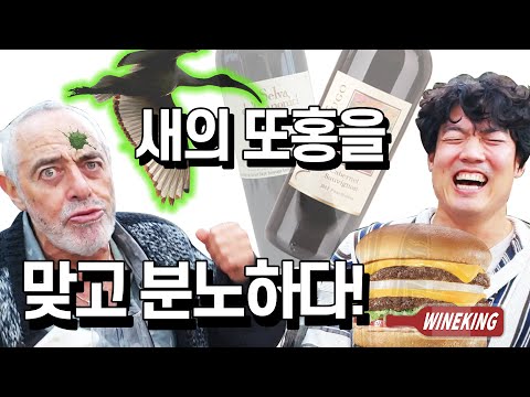 (reup)Being humiliated while dining! Angry mentor! Happy mentee---