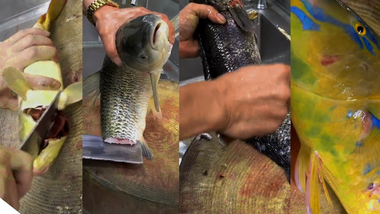 Wilder Kitchen Channel trailer - YouTube