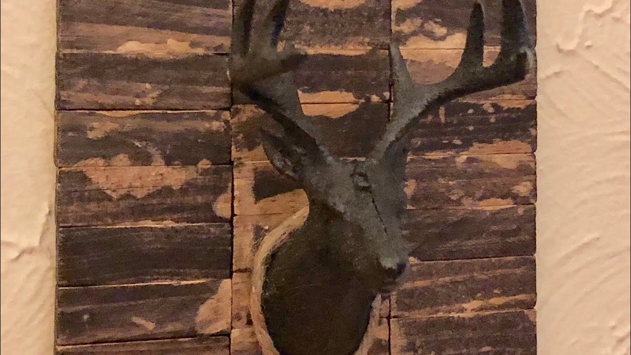 Dollar Tree “Cast Iron” DIY Deer Head - YouTube