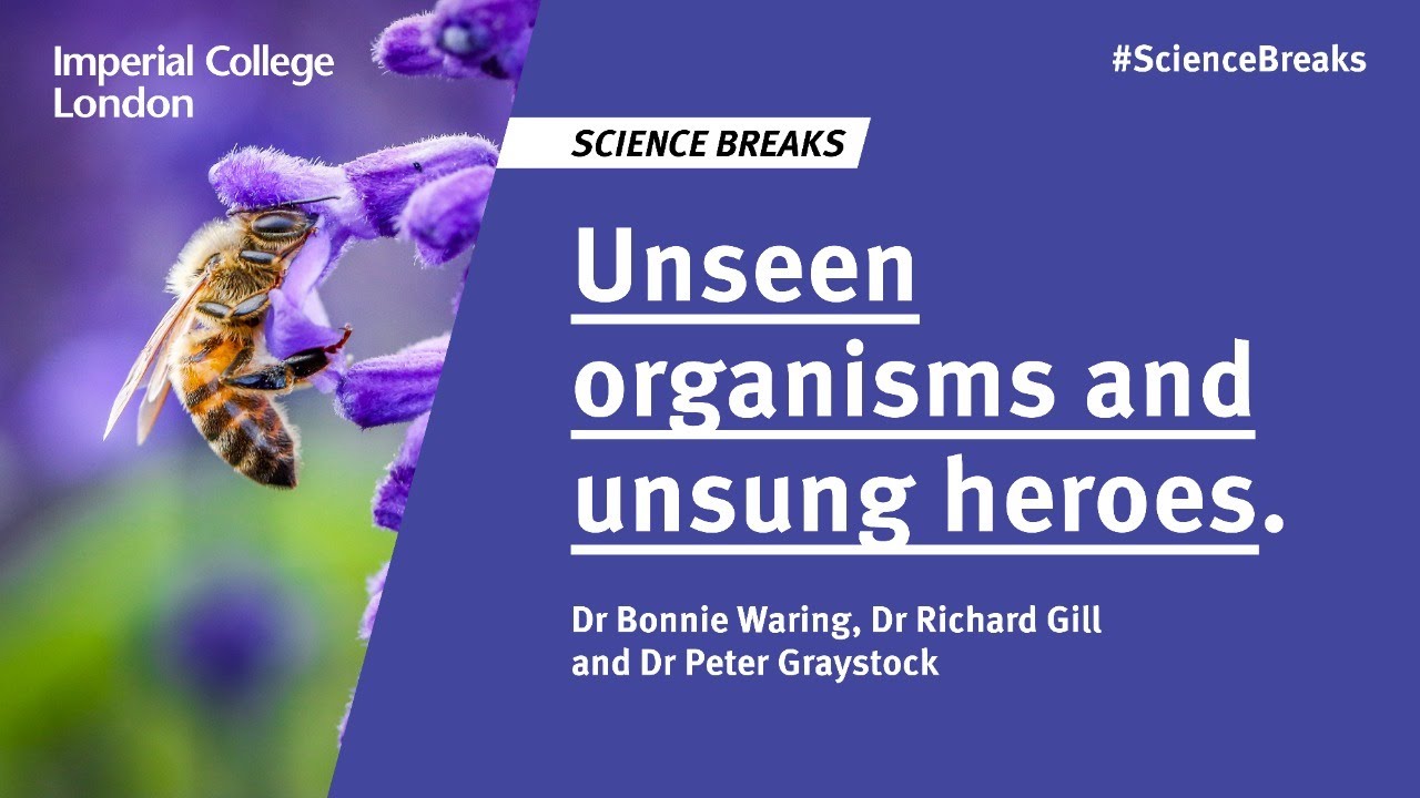 Science Breaks: Unseen organisms and unsung heroes - YouTube