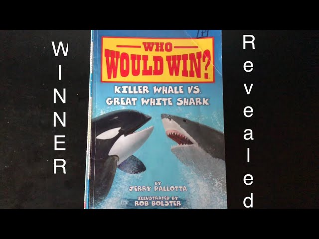 Killer Whale Vs Great White Shark Who Would Win