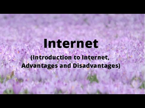 Introduction to Internet (Internet, Advantages and Disadvantages) - BZU ...