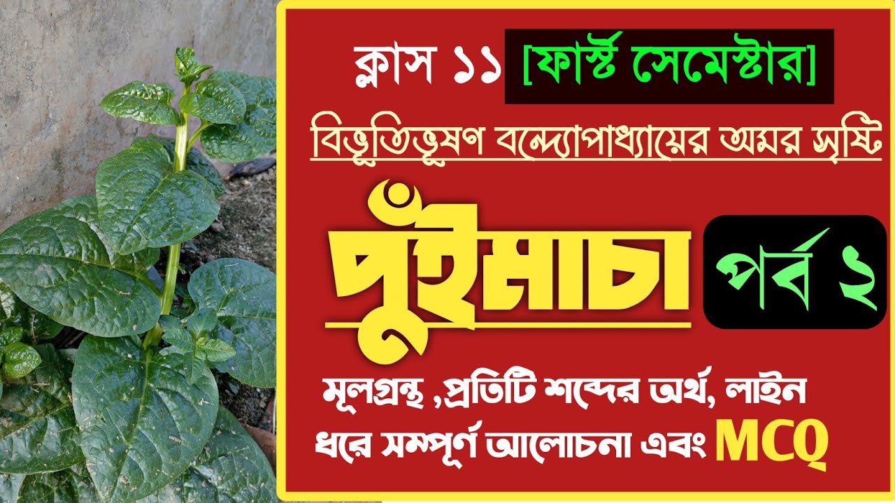 Pui Macha Galpo Class 11 Bengali Part 2 || পুঁইমাচা গল্পের আলোচনা Part 2 || - YouTube