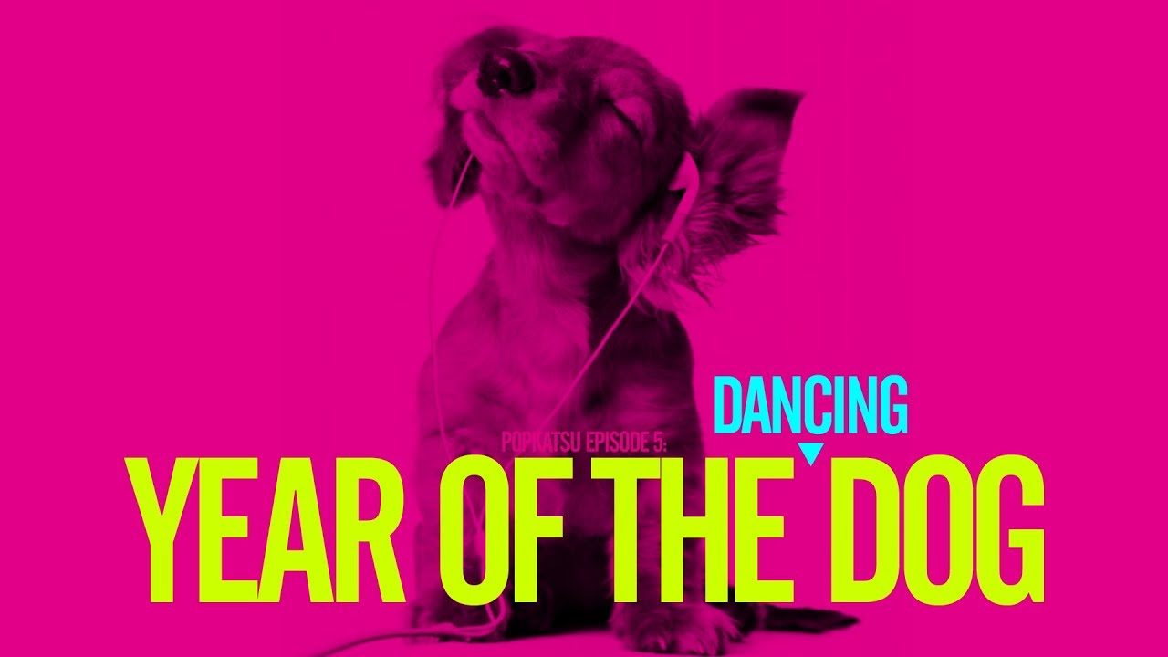 YEAR OF THE DANCING DOG (Ultimate Dancing Dog Compilation) [2018] - YouTube