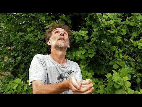 La fusée verte. Astuce du dehors n°46 - YouTube