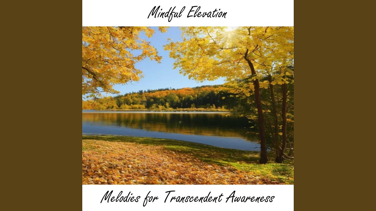 Dreamy Bell Oasis - YouTube