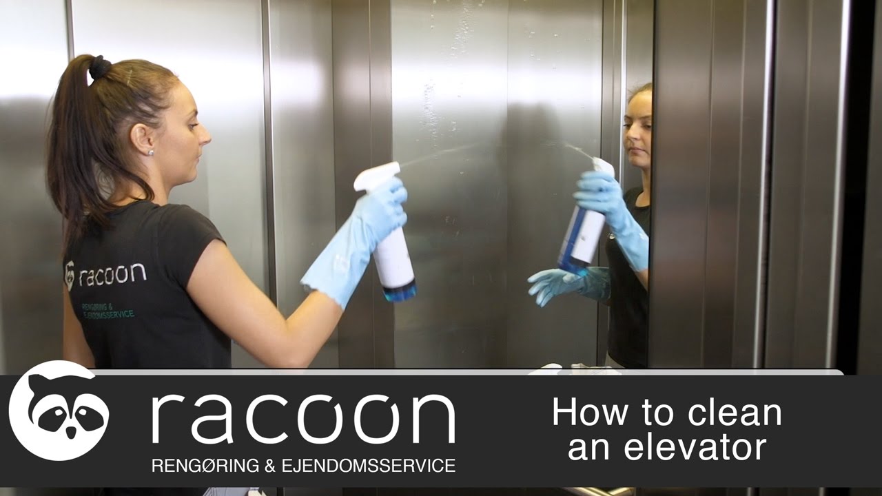 Racoon - How to clean an elevator - YouTube