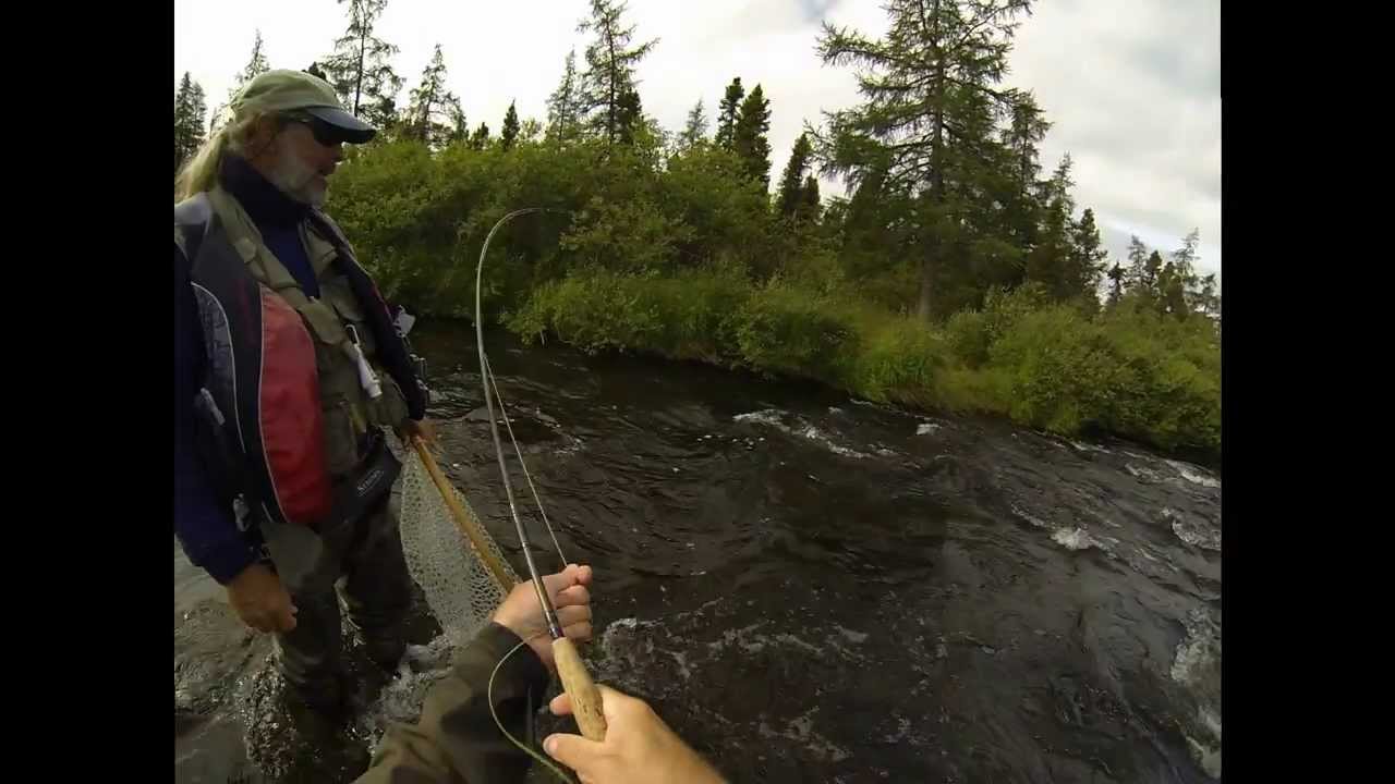 Brook Trout fishing in Labrador - YouTube