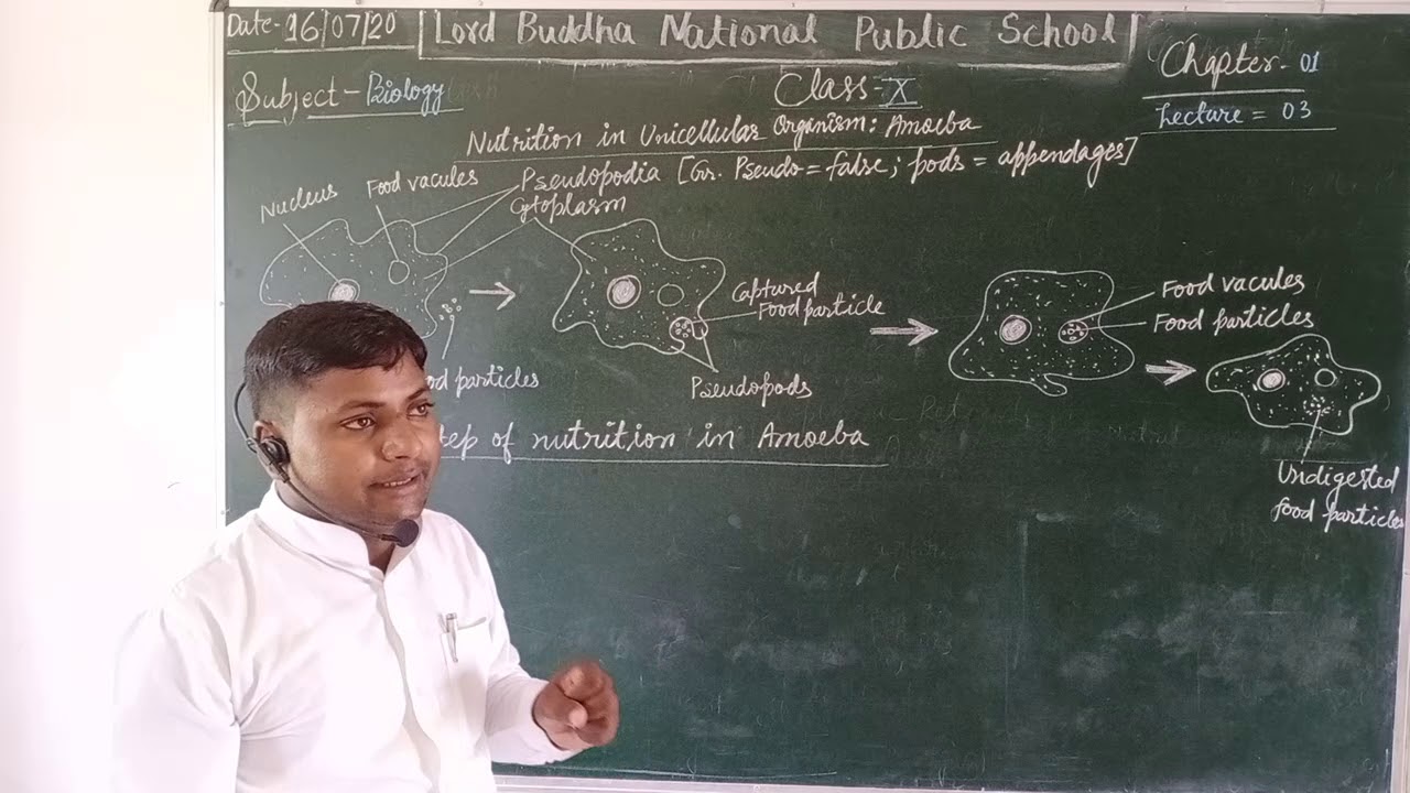 Biology chapter 1 lecture 3 class 10 - YouTube