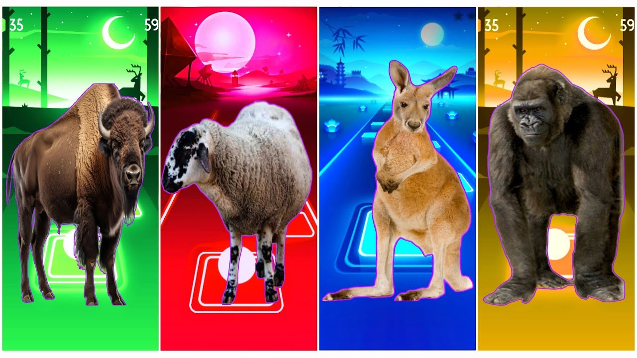 Funny Bison 🆚 Funny Sheep 🆚 Funny Kangaroo 🆚 Funny Monkey 🆚 Tiles Hop EDM RUSH🔥 ️🎶🎵 - YouTube