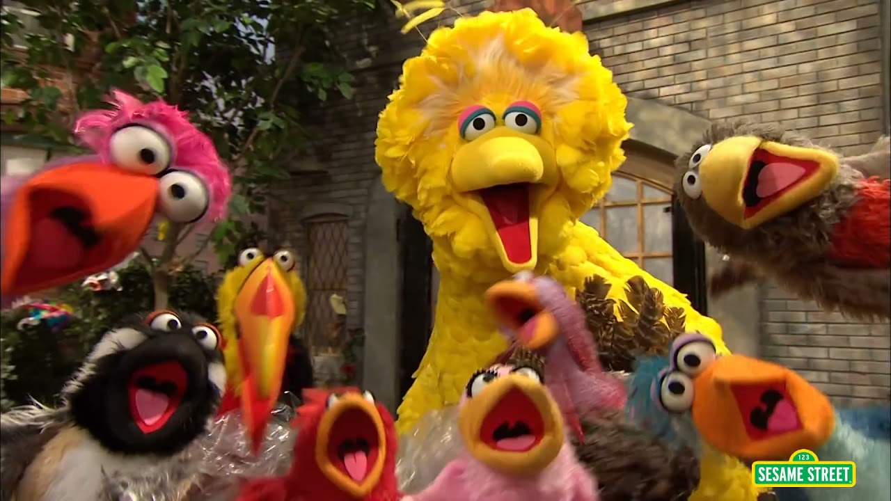 Sesame Street: Big Bird sings "That's Cooperation" - Baby Songs at Home ...