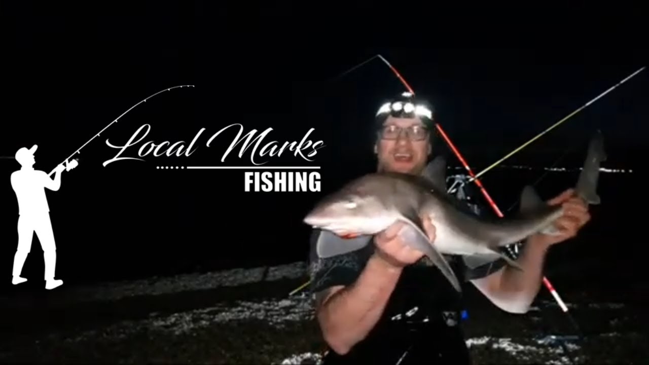 Solitary Smooth-hound: The Lone Hunter Reeled In! - YouTube
