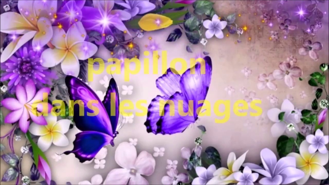 PAPILLON SUR NUAGE - YouTube