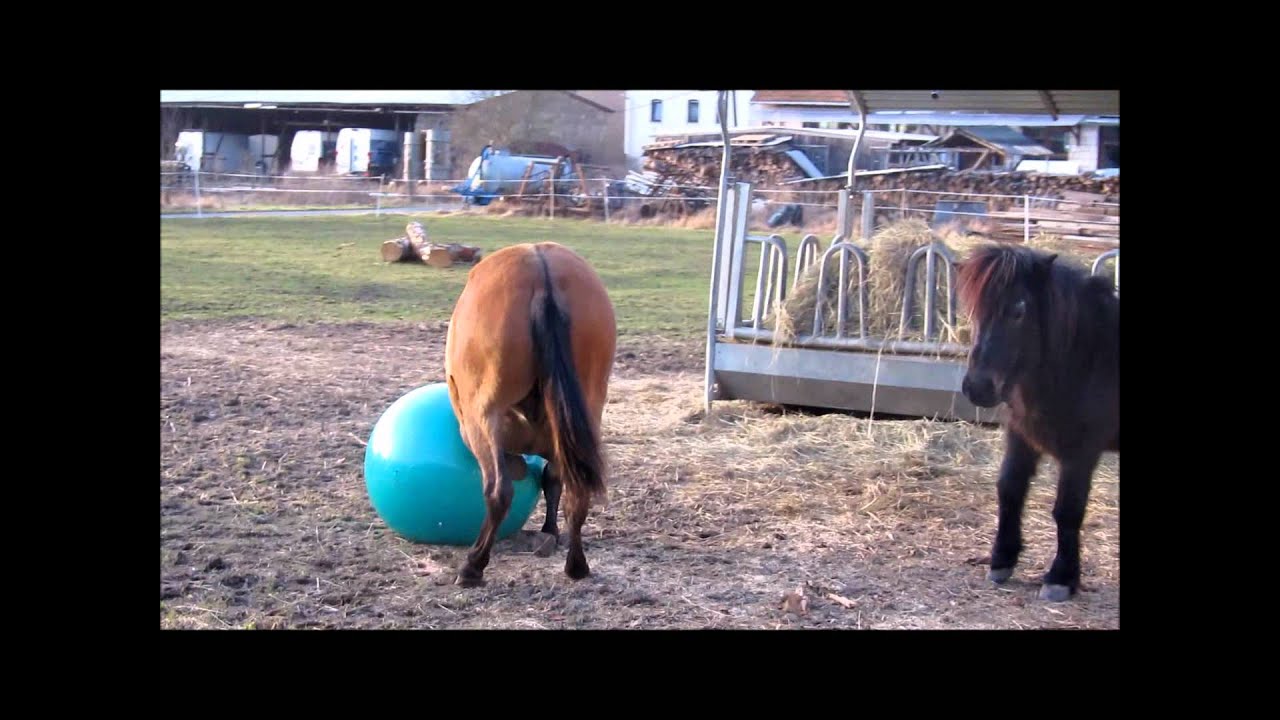 Jolly Mega Ball - YouTube