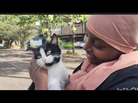 WHAT HAPPENED TO NALA?!!! - YouTube