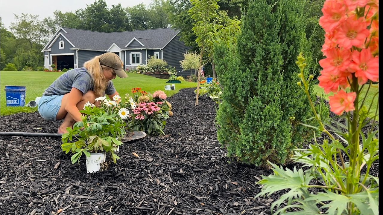 Planting a New Landscape In The Alley: Tons of Perennials for My Full ...