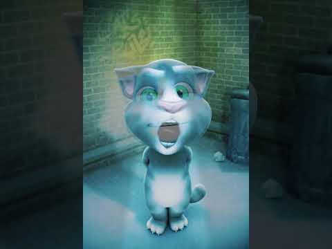 Kucing tom part 1 - YouTube