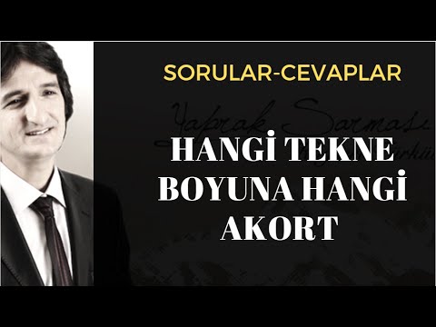 Hangi Tekne Boyuna Hangi Akort Çekilmeli